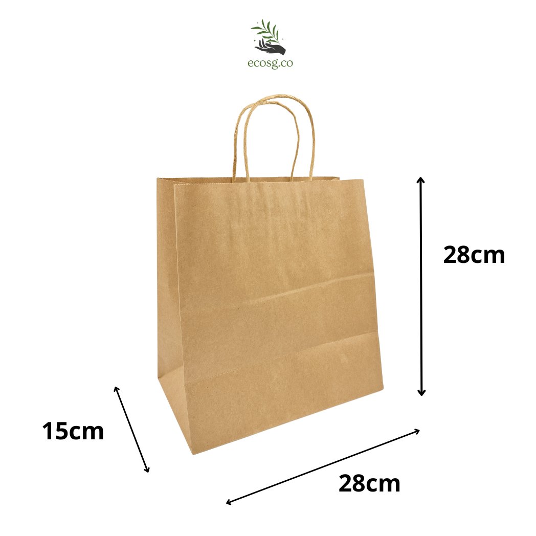 Large Size Paper Bag – ECOSG.CO