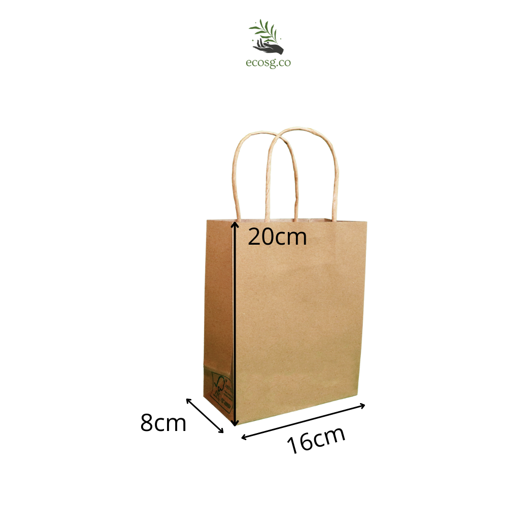 Kraft Paper Bags Size 16x8x20cm (100pcs/carton) – ECOSG.CO